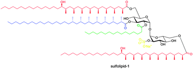 Total synthesis of sulfolipid-1 - Chemical Communications (RSC Publishing)