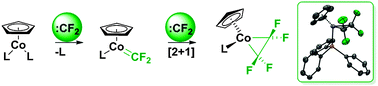 Stepwise addition of difluorocarbene to a transition metal centre ...