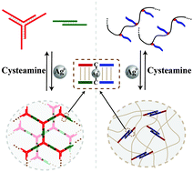 Reversible Ag+-crosslinked DNA hydrogels - Chemical Communications (RSC ...