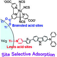 A new cosensitization method using the Lewis acid sites of a TiO2 ...