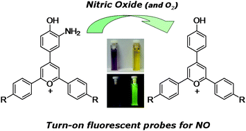 Turn-on fluorescent probes for nitric oxide sensing based on the ortho ...