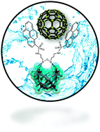 The supramolecular design of low-dimensional carbon nano-hybrids ...