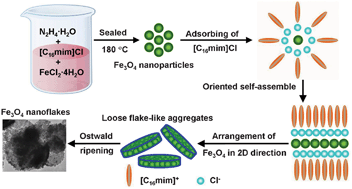 Ionic liquid-assisted solvothermal synthesis of oriented self-assembled Fe3O4 nanoparticles into ...