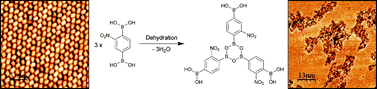 Side functionalization of diboronic acid precursors for covalent ...