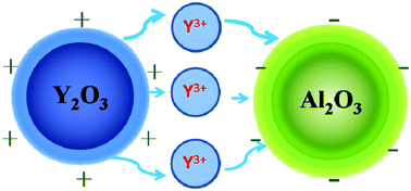 Charge conversion and mass transfer on surface of Al2O3 nanoparticles ...