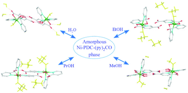 Host–guest chemistry of NiII coordination compounds with PDC and (py ...