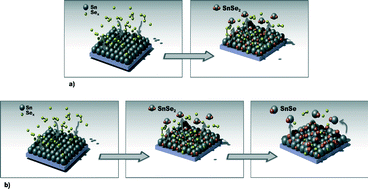 Thermodynamic pathway for the formation of SnSe and SnSe2 ...