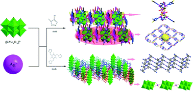 Two octamolybdate-based complexes: hydrothermal synthesis, structural ...