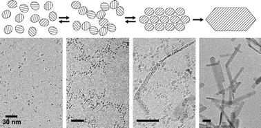 Characterizing crystal growth by oriented aggregation - CrystEngComm ...