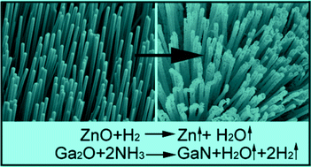 Large-area synthesis of diameter-controllable porous single crystal ...