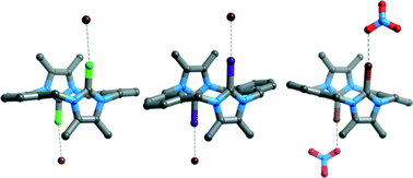 Observation of strong halogen bonds in the solid state structures of ...