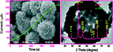 Facile synthesis of MnO2–Ag hollow microspheres with sheet-like ...