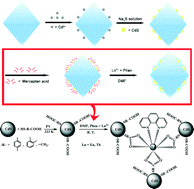 Novel luminescent hybrids prepared by incorporating a rare earth ...