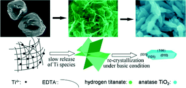 A facile synthesis of single crystal TiO2 nanorods with reactive {100 ...