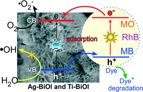 Adsorption and UV/Visible photocatalytic performance of BiOI for methyl orange, Rhodamine B and ...