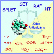 A physicochemical examination of the free radical scavenging activity ...