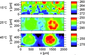 Scanning electrochemical microscopy at variable temperatures - Physical ...