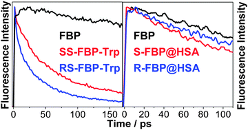 Excited state interactions between flurbiprofen and tryptophan in drug ...