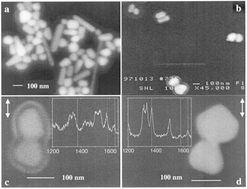 Single-molecule surface-enhanced Raman spectroscopy: a perspective on ...