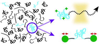 Single-molecule assays for investigating protein misfolding and ...