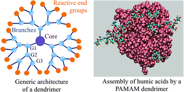 Exploiting the physicochemical properties of dendritic polymers for ...