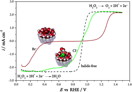 The impact of spectator species on the interaction of H2O2 with ...