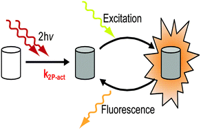 Determination of two-photon photoactivation rates of fluorescent ...
