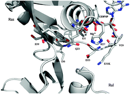 Vibrational Stark effect spectroscopy reveals complementary ...
