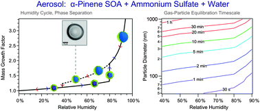 Gas–particle partitioning of atmospheric aerosols: interplay of ...