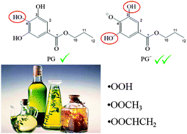Antioxidant activity of propyl gallate in aqueous and lipid media: a ...