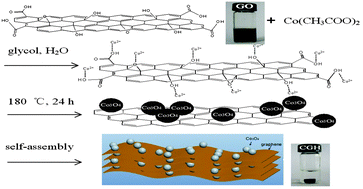 Graphene-based 3D composite hydrogel by anchoring Co3O4 nanoparticles ...