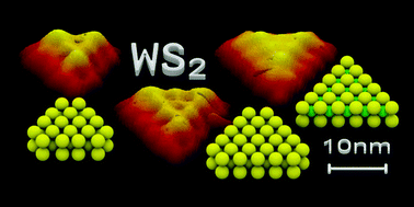 Morphology and atomic-scale structure of single-layer WS2 nanoclusters ...