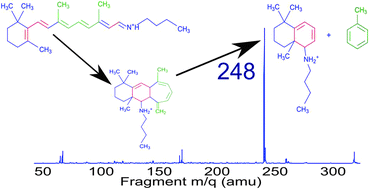 Photoresponse of the protonated Schiff-base retinal chromophore in the ...
