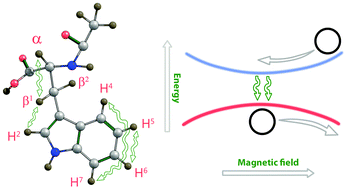 Exploiting level anti-crossings for efficient and selective transfer of ...