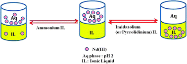 Liquid–liquid extraction of neodymium(iii) by dialkylphosphate ionic ...