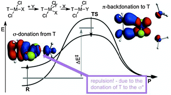 trans effect and trans influence: importance of metal mediated ligand ...