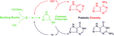 Free radical routes for prebiotic formation of DNA nucleobases from ...