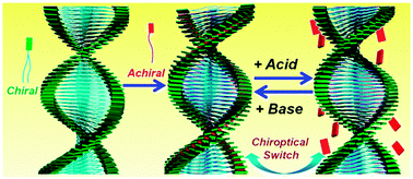 A chiroptical switch based on supramolecular chirality transfer through ...