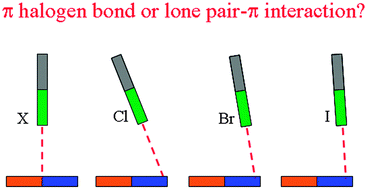 Is π halogen bonding or lone pair⋯π interaction formed between borazine ...