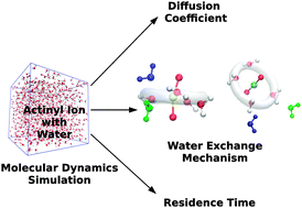 Dynamics of actinyl ions in water: a molecular dynamics simulation ...