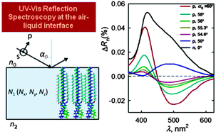 UV-Vis reflection spectroscopy under variable angle incidence at the ...