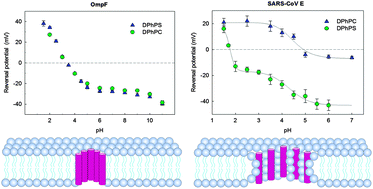 Lipid charge regulation of non-specific biological ion channels ...