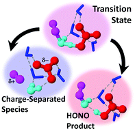 Reaction of a charge-separated ONONO2 species with water in the ...