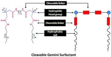 Effect of amide bonds on the self-assembly of gemini surfactants ...