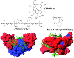 Computer modeling of the complexes of Chlorin e6 with amphiphilic ...