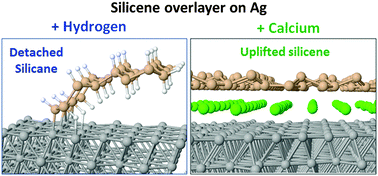Chemical routes to modify, uplift, and detach a silicene layer from a ...