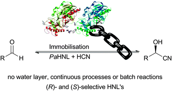 Immobilisation of hydroxynitrile lyases - Chemical Society Reviews (RSC ...