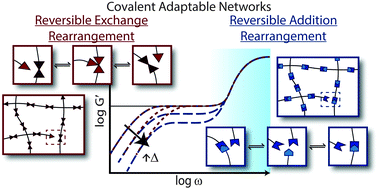 Covalent adaptable networks: smart, reconfigurable and responsive ...