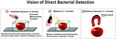 Biosensor technology: recent advances in threat agent detection and ...