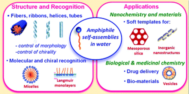 Amphiphiles in aqueous solution: well beyond a soap bubble - Chemical ...